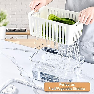 Rhewatin 3pc Fruit Storage Containers for Fridge with Time Keeper, Partitioned Vegetable Storage Containers for Refrigerator with Removable Colander and Divider, Airtight Lettuce Keeper, White