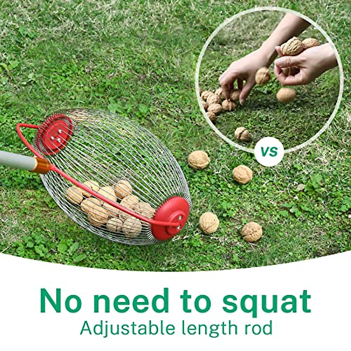Cooltop Large Nut Gatherer, Nut Picker Rolling Acorn Picker Upper,Adjustable Lightweight Outdoor Manual Tools,Collect Walnuts,Acorns,Hickory Nuts,Golf with 1.5Gallon(Large)