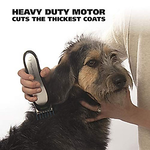 Wahl Lithium Ion Pro Series Cordless Animal Clippers – Rechargeable, Heavy-Duty, Electric Dog & Cat Grooming Kit for Small & Large Breeds with Thick to Heavy Coats – Model 9766