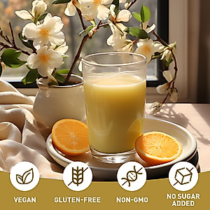 UNLEASH'D ORGANIC Organic Ginkgo Biloba Powder 16 oz Supports Brain Function and Mental Alertness Vegan Friendly Raw and Non-GMO