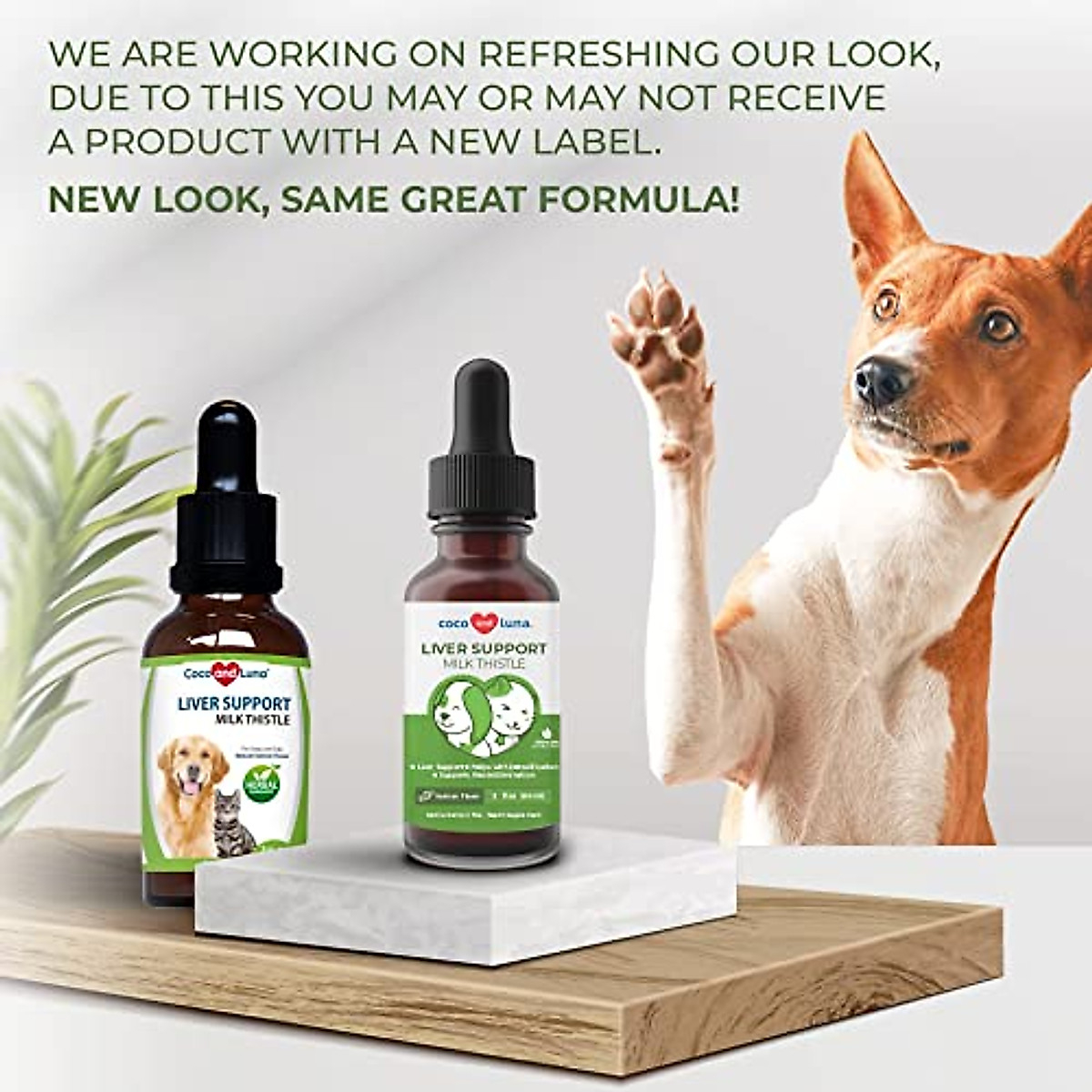 Milk Thistle for Dogs and Cats – Liver Support for Dogs and Cats, Milk Thistle Liver Detox, Dog Liver Supplement, Supplements for Dogs and Cats, Cat and Dog Detox – 2oz (60ml)