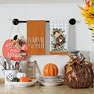 GEEORY Fall Kitchen Dish Towels Set of 2,Orange Pumpkin Eucalyptus Leaves 18x26 Inch Drying Dishcloth,Farmhouse Home Decoration GD155