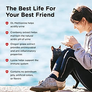 Nutri-Vet Uri-Ease Paw Gel for Cats |Helps Maintain Urinary Tract Health| Salmon Flavor | 3 ounces