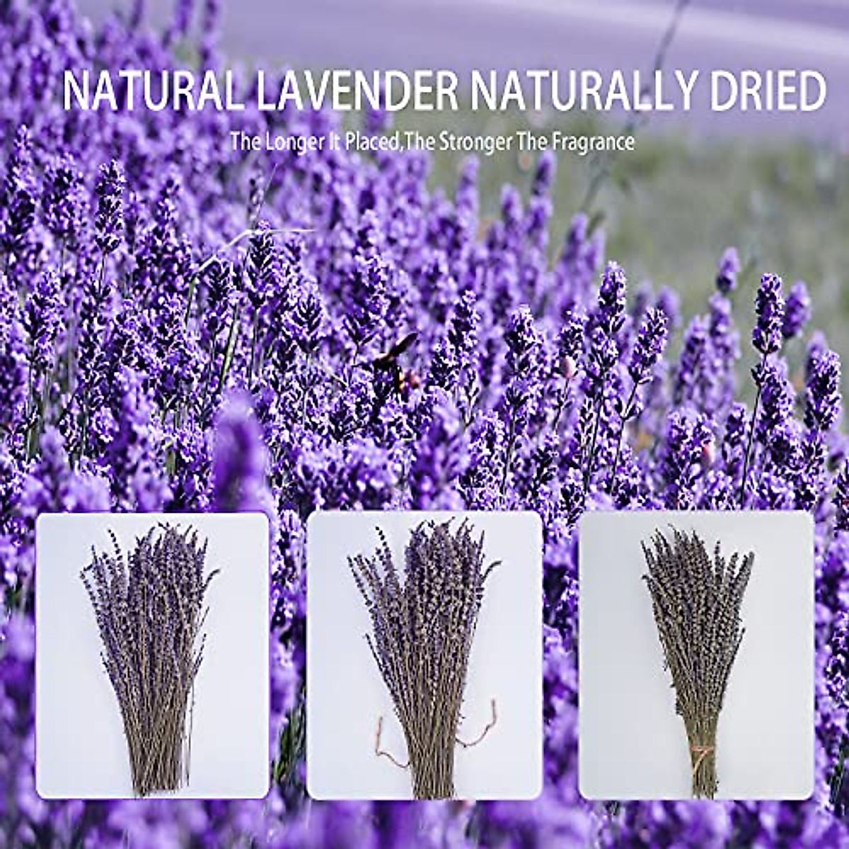 Dried Lavender Bundles, Uieke Natural Dried Lavender Flowers 280-300 Stems 16“ for Home Weeding Decoration Flower Arrangements Home Fragrance 2 Bundles