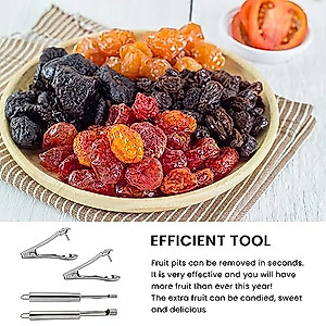 CALIDAKA Cherry Pitter Tool, 4PCS Stainless Steel Pitter Tool, Portable Cherry Remover Olives Pitter Tool, Kitchen Pitter for Cherry, Olives, Hawthorn, Red Date