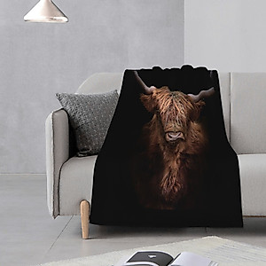 Highland Cow Blanket Super Soft Warm Highland Cow Throw Blanket - Lightweight Cozy Flannel Cow Print Throw Blanket Bed Couch Sofa Office Decor, Gift for Girls and Boys Women and Man 60"x50"