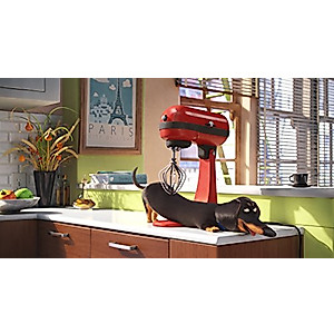 The Secret Life of Pets [DVD]