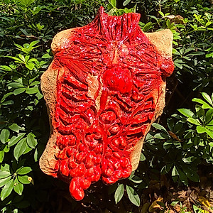 EJWCIG Bloody Intestine Torso Chest Fake Dead Body Creepy Horro Zombie Scary Halloween Decorations Cosplay Props Costumes (Style A)