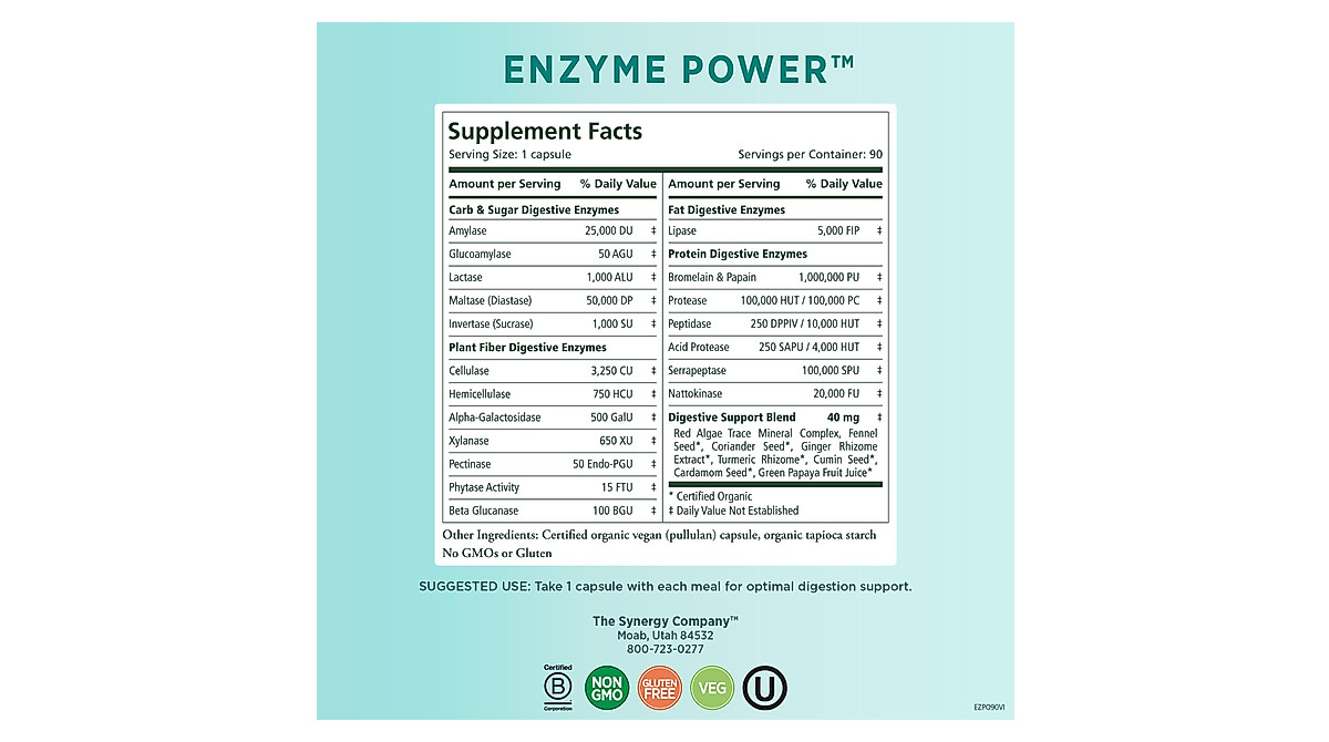 PURE SYNERGY Enzyme Power | Digestive Enzyme Supplement for Gut Health