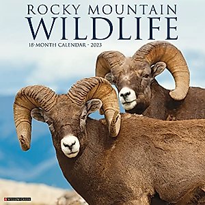 Rocky Mountain Wildlife 2023 Wall Calendar