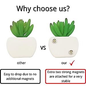 TIYGHI Fridge Magnets Artificial Hanging Plants Refrigerator Magnets Fake Succulents Whiteboard Magnet Strong Magnetic Fridge Decoration Magnet Cabinet for Home Kitchen Decoration (A)