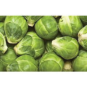 Brussel Sprouts Seeds for Planting, Catskill, 1 Gram, 270 Seeds, Grow Heirloom Brussels Sprouts Fresh in Your Garden, Non-GMO