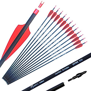 COLORFUL EAGLE 12pcs/lot Carbon Arrow Outdoor Hunting Bows Arrows for Recurve Compound Bow Archery Hunting Target Parctice Accessories (30)