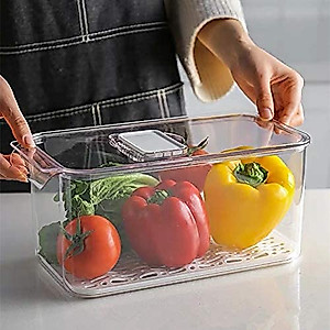 SANNO Stackable Fridge Food Storage Containers Freezer Egg Holder Vegetable Fruit Containers Fridge Containers,Freezer Produce Saver