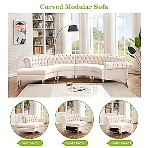 Legend Vansen Curved Modular Sectional Sofa,Velvet Couch with Rolled Arms,4-Seater Semicircle Couch Suitable for Living Room and Bedroom
