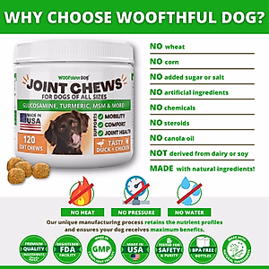 WOOFthful Dog Glucosamine Chondroitin for Dogs with Organic Turmeric and MSM - Premium Joint Supplement for Dogs - Supports Pain Relief, Mobility and Joint Function - Made in USA