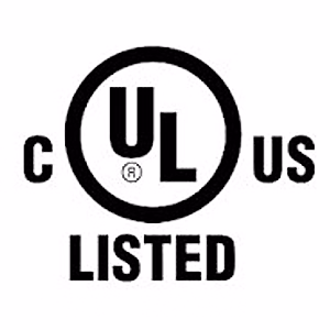 Home Decorators Collection Brimfield 180-Degree 1-Light Aged Iron Motion-Sensing Outdoor Wall Lantern