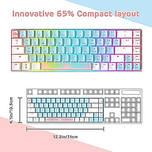 MANBASNAKE MK14 60% Mechanical Gaming Keyboard, Compact 68 Keys Mini Wired Office Keyboard, Hot Swappable RGB Gaming Keyboard with Blue Switch for Windows/Laptop/PC/Mac Gamer