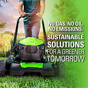 Greenworks 40V 8-Inch Cordless Polesaw, 2.0Ah Battery and Charger Included PS40B210
