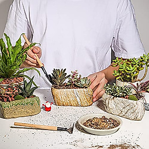 T4U 5.5 Inch Ceramic Succulent Pot Planter with Drainage Hole Set of 3, Stone Shape Rectangle Window Box Cactus Plant Containers Gift for Mom Sister Aunt Best for Home Office Table Desk Decoration