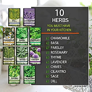 10 Herb Kit Non-GMO Growing into Thyme, Lavender, Chamomile, Dill, Chives, Cilantro, Rosemary, Basil, Parsley, Sage Indoor/Outdoor Herb Planting for Kitchen Windowsill Gardening Gift