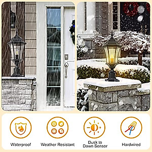 GOALPLUS Dusk to Dawn Post Light, 20" High Black Outdoor Lamp Post Light Fixture with Pier Mount for Garden, Exterior Post Lantern with Seeded Glass for Yard, Patio and Pathway, LMMS4610-S-BK-2P