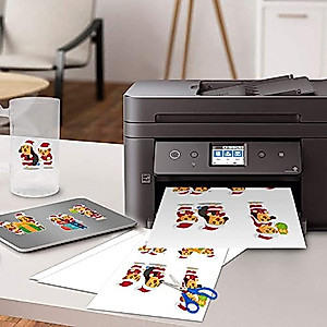 Premium Printable Vinyl Sticker Paper,Transparent 30 Clear Self-Adhesive Sheets,No-Waterproof,Dries Quickly Vivid Colors Decal Paper,Tear Resistant-for Any Epson HP Canon Sawgrass Inkjet Printer