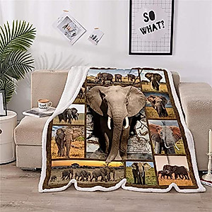 Juirnost Elephant Blanket Wild Elephant Gifts for Women Men Elephant Throw Blankets for Couch Bed Sofa Travelling Camping Elephant Decor Animal Lover Blanket Soft Plush Reversible Blanket 50" x60"