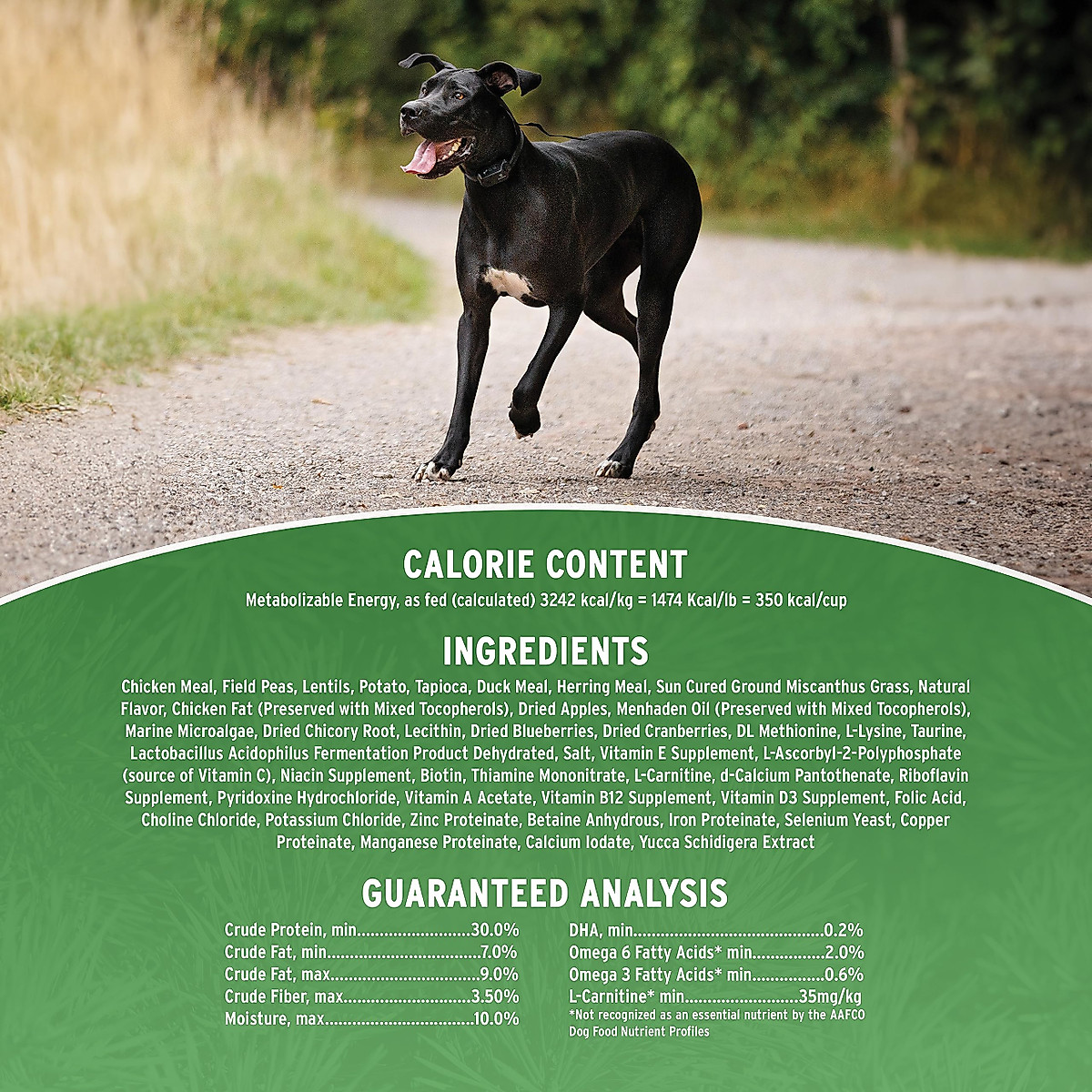 Annamaet Grain-Free Lean Reduced Fat Formula Dry Dog Food, (Chicken & Duck), 12-lb Bag