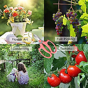 Leize Garden Flower Scissors, Premium Thickened Stainless Steel Floral Shears, Strong Pruner for Flowers, Branches and Leaves