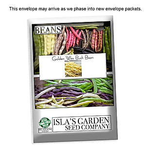 Golden Wax Bush Bean Plant Seeds, 50 Heirloom Seeds Per Packet, Non GMO Seeds, (Isla's Garden Seeds), Botanical Name: Phaseolus vulgaris, 85% Germination Rates