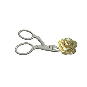 Cake Flower Nail Lifters Set Stainless Steel Baking Tools for Icing Flowers Decoration (White)