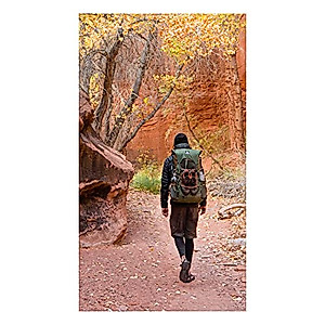 Granite Gear Perimeter 50 - Bourbon/Pine Regular