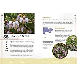 100 Plants to Feed the Bees: Provide a Healthy Habitat to Help Pollinators Thrive