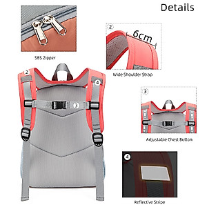 willikiva Waterproof Backpack for School Kids Backpack Bookbag Girls Boys Lightweight Travel Bag (Blue)