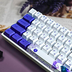 68 Keycap PBT OEM Height Five-Sided Sublimation Compatible with GH60 / GK64 / GK61 / 68/87/104/108 Mechanical Keyboard with Cherry MX Switch Purple Tang Dynasty 64 Keys