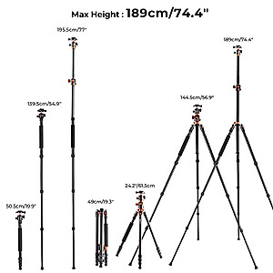 K&F Concept 74 inch Camera Tripod,Professional Center Axis Horizontal Tripods with Detachable Monopod,360 Degree Ball Head,Quick Release Plate Compatible with DSLR Cameras T254A4+BH-28L(SA254T3)