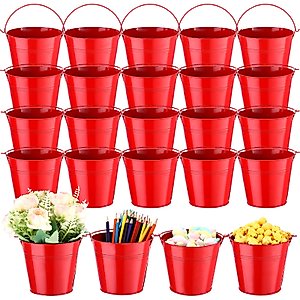 24 Pcs Metal Bucket 5 x 3.5 x 4.7 Inch Mini Party Buckets for Flower Pot Plant Basket Iron Small Metallic Pails with Handle for Toy Container Candy Snack Crafts Vase Party Favors (Red)