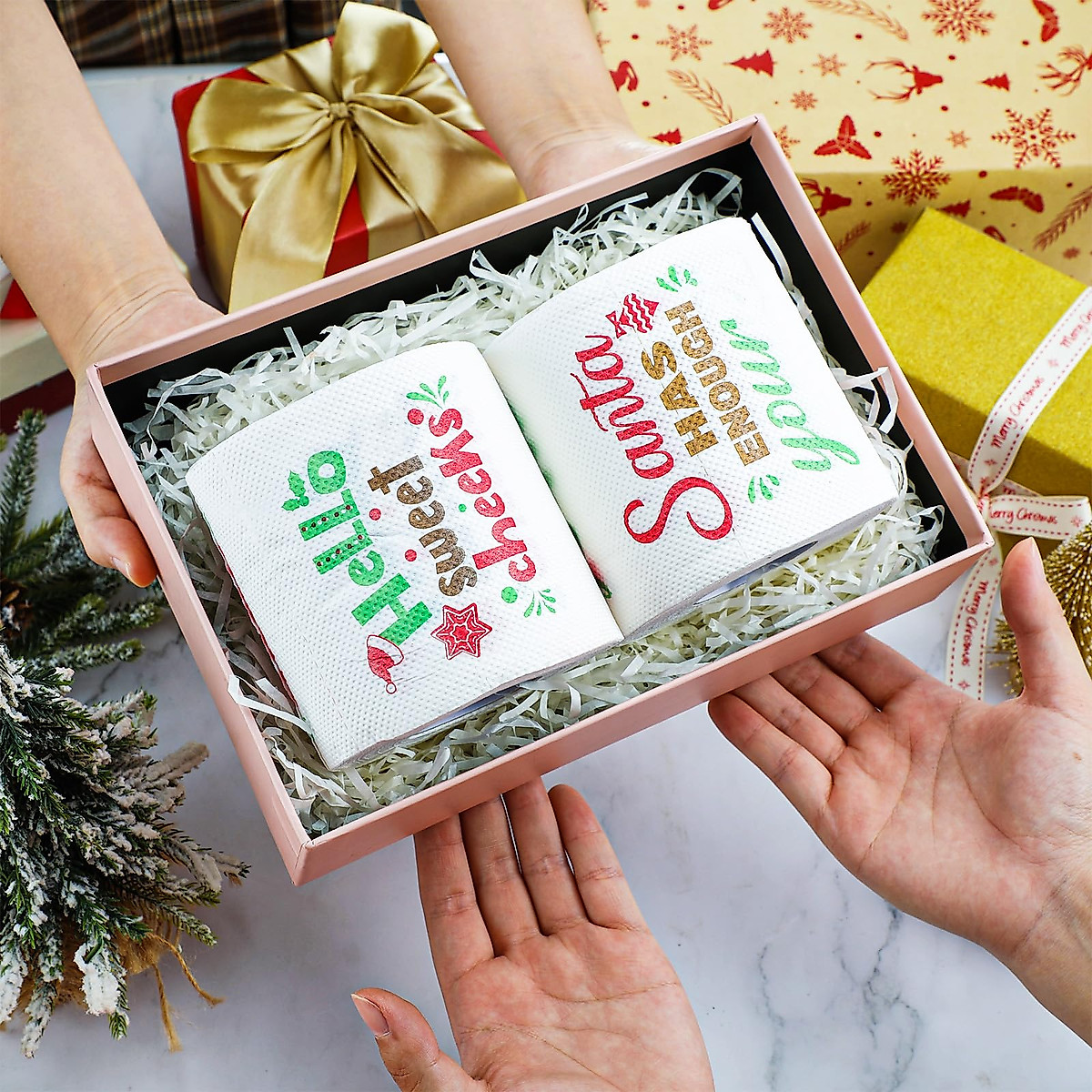 Cholemy 8 Rolls Merry Christmas Toilet Paper Funny Santa Claus Toilet Paper Fun Gag Gifts Christmas Stocking Stuffers for Xmas Party, White Elephant, Bathroom Decor, 3 Ply 4 Style