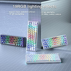 SOLAKAKA SK961 RGB Wireless 60 Percent Keyboard Supports Triple Mode Connection(BT5.0+2.4GHz+Type C Wired),Hot Swappable Gaming Keyboard 60% Percent Keyboard with Customizable Software,Brown Switch