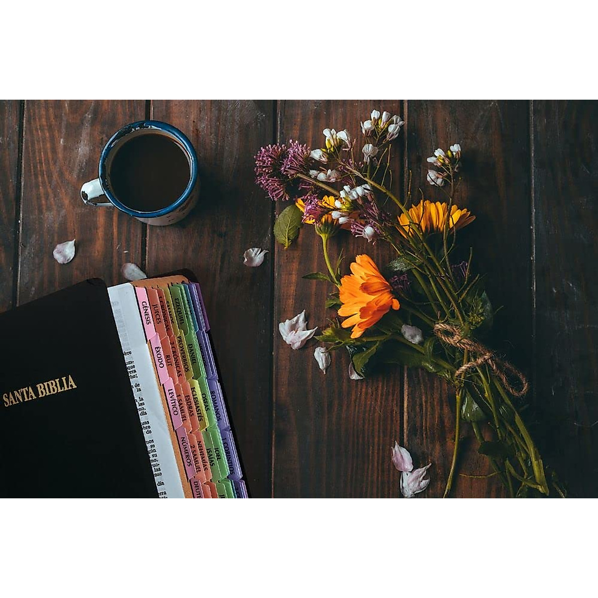 tabbies Rainbow Spanish Catholic Bible Indexing Tabs, Old & New Testaments Plus Catholic Books, 90 Multi-Colored Tabs Inc. 71 Books & 19 Ref. (58347)