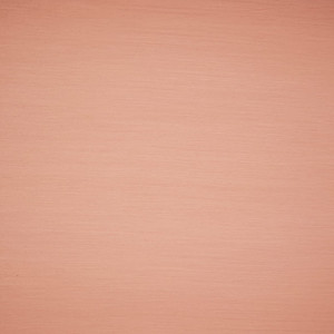 Wall-Mount Bookshelf Pot Rack with Grid & 12 Hooks