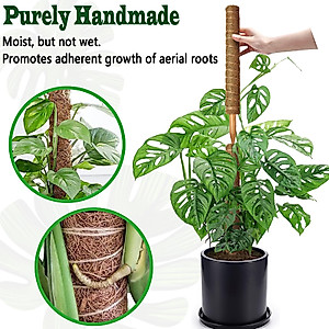 2 Pack 17 Inch Moss Pole, Stackable Moss Poles for Climbing Plants Monstera, Tall Plant Sticks Accessories, Large Coir Plant Support Stakes for Potted Plants Indoor, Pothos, Philodendron