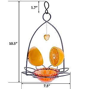 FORUP Oriole Bird Feeder, Orange Fruit Oriole Feeder