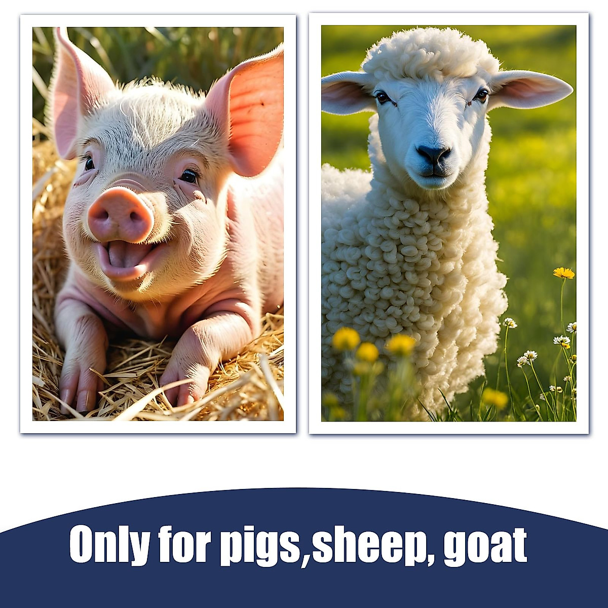 M6 Portable Veterinary Ultrasound Scanner 5.7" LED Display for Pregnancy Pig Sheep Goat Use Only Vet Handheld Scanner with Mechanical Probe