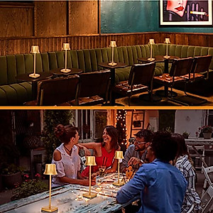 LED Desk Lamp Cordless Table Light, Rechargeable Battery Powered USB Charging Port 3 Levels Brightness Dimmable for Outdoor Modern Restaurant Dining Bedroom Study Portable Lights Set of 2 Pack Gold