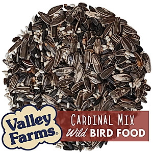 Valley Farms Cardinal Mix Wild Bird Food for Outside Feeders, Bird Seed with Black Oil Sunflower Seeds and Safflower Seeds, Attract a Variety of Wild Birds, 3 LBS 2-Pack (6 LBS Total)