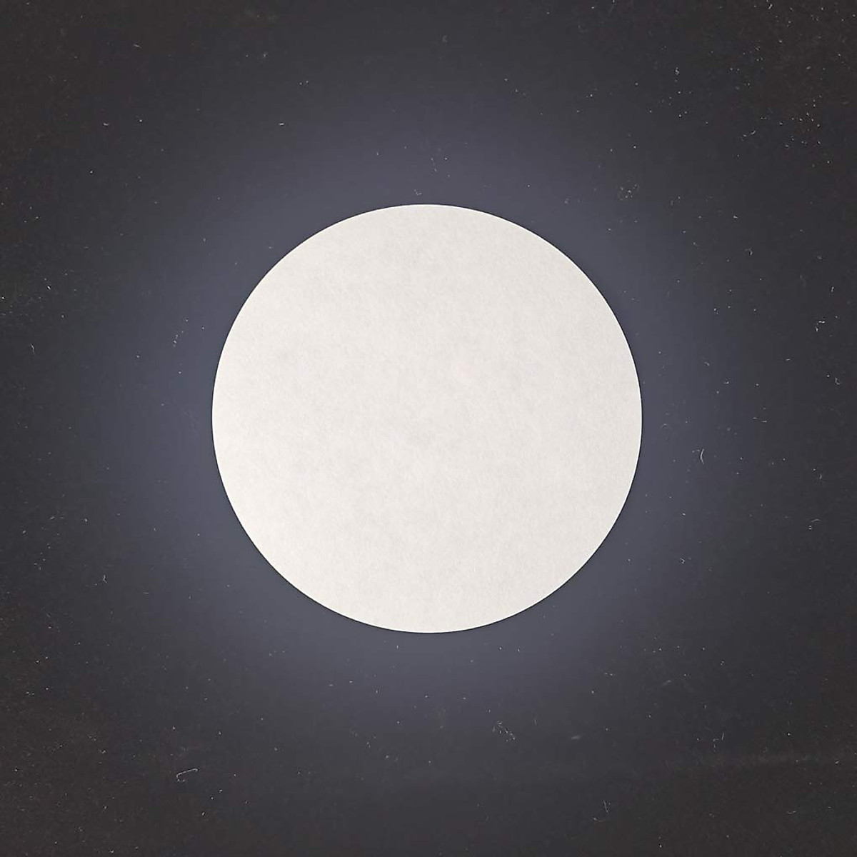 HeyWin 200 Packs Qualitative Filter Paper Chemistry,Diameter of 110mm Filter Paper Circles,Medium Speed,Used in the Vacuum Filter,also for Funnel,etc