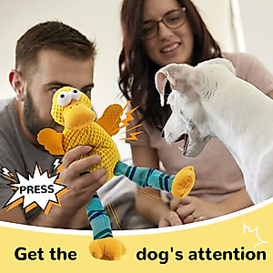 TOTARK Squeaky Dog Plush Toys, Durable Stuffed Dog Chew Toys for Puppy Teething, Interactive Soft Duck Dog Toys with Activity Legs & Squeaker for Small Medium Large Dogs