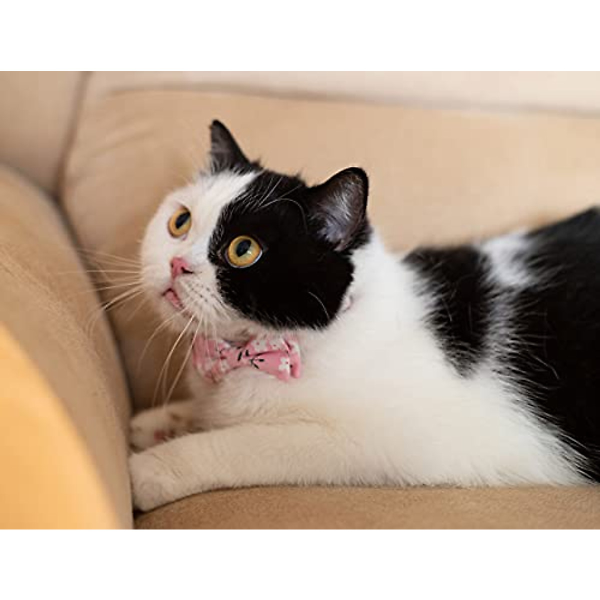 Gyapet Pink Cat Collar Breakaway Safety with Bell Bow Tie Pack in 2 Plaid Flower Pattern Kitten 7-11in Pink Flower & Plaid